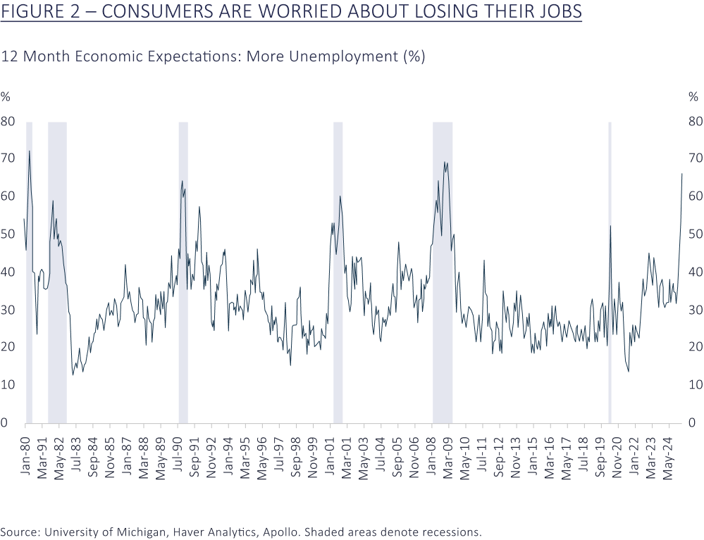 Market Commentary 1st Quarter 2025 - James Hambro